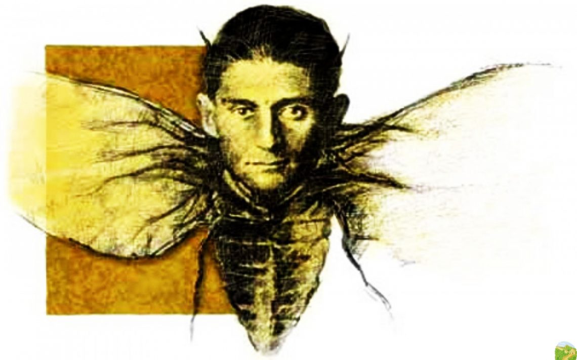 Con Kafka, ¿A dónde huir? - Revista Escribas